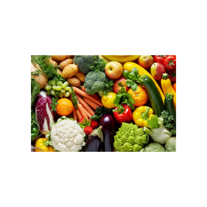 SEMENCES POTAGERES BIO